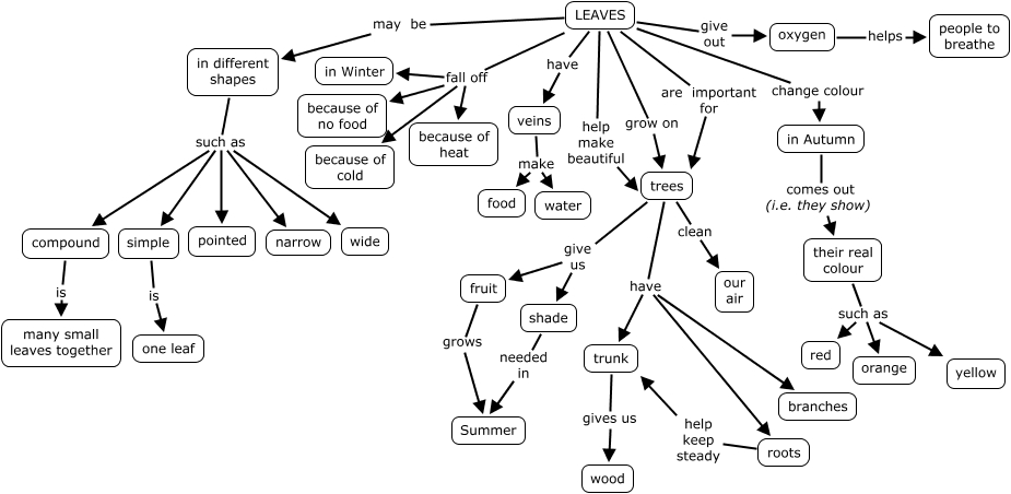 Krista Leaves 2 4 paper_recent - Why do leaves fall off a tree?